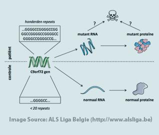 Blog: What is C9orf72? What are we doing about it? | ALS TDI