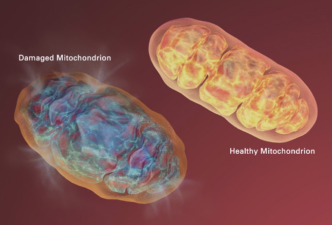 Blog: ALS, More Than A Power Play | ALS TDI