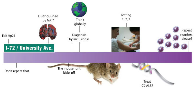 Blog: The Whole C9 Yards | ALS TDI