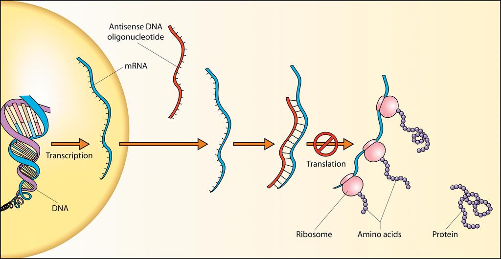 Blog: ASO Therapy: A Promising New Treatment, for Some –... | ALS TDI
