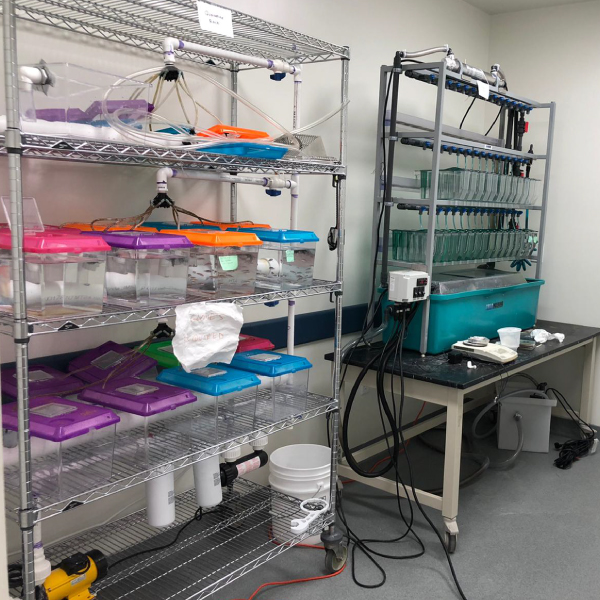 Blog: Welcome to Your New Lab! | ALS TDI