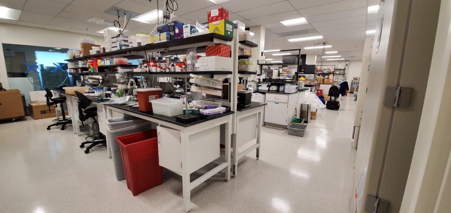 Blog: Welcome to Your New Lab! | ALS TDI