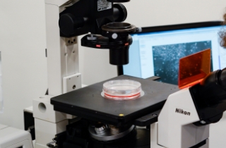 Blog: Understanding the Different Types of Therapeutics | ALS TDI
