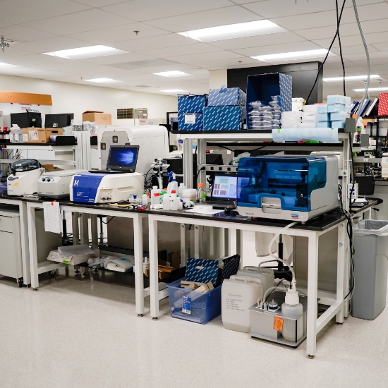 Blog: What is Preclinical Research and Why is it so Impor... | ALS TDI