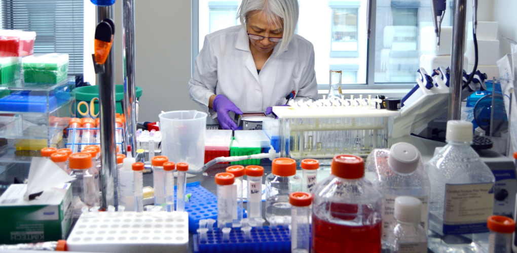 Blog: ALS TDI's 2022 Milestones | ALS TDI